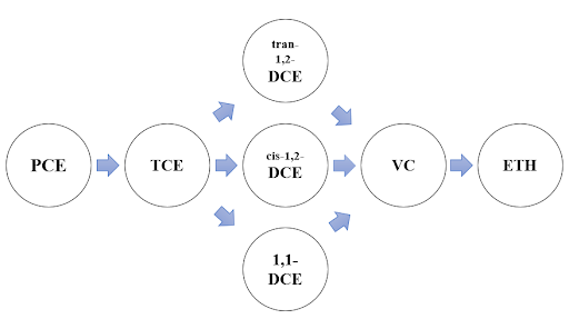 Software – CAMRDA Store